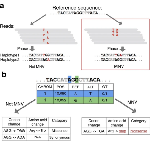 Homepage [gong_lab.hzau.edu.cn]